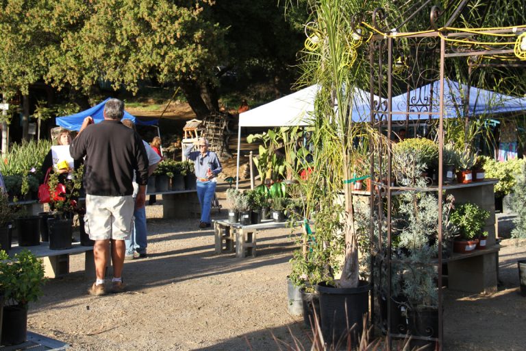 Local Marketplace gives non-profits a voice and a bounty | The Alpine Sun