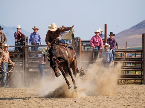 Parade, rodeo arrive | The Alpine Sun